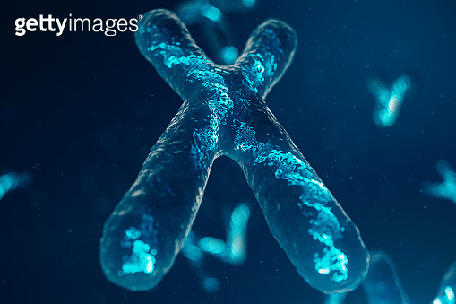 X-Chromosomes with DNA carrying the genetic code. Genetics concept ...
