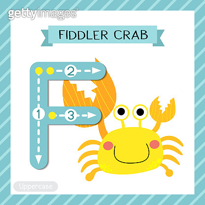 Letter F uppercase tracing. Fiddler Crab 이미지 (1131685250) - 게티이미지뱅크