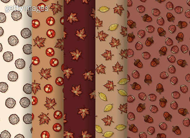 Set of autumn seamless patterns. Collection of leaves and fall elements ...