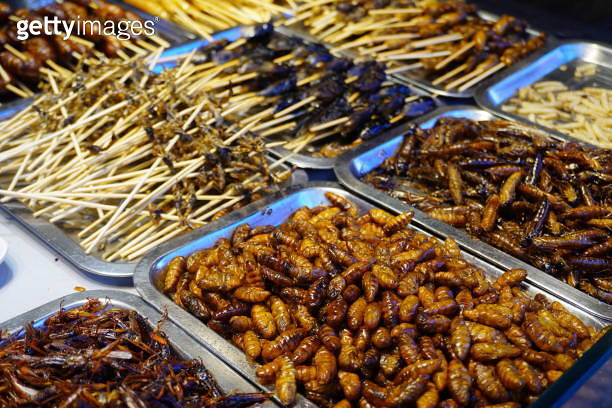 Stall that selling bugs and insect at Lijiang. 이미지 (1189060923) - 게티이미지뱅크