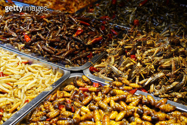 Stall that selling bugs and insect at Lijiang. 이미지 (1189062042) - 게티이미지뱅크