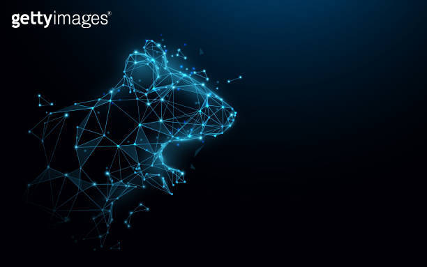 Rat form lines, triangles and particle style design. Illustration ...