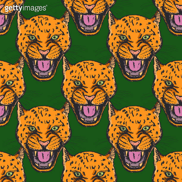 Leopard Roar face or head. Hand drawn Leopard Head animal or predator ...