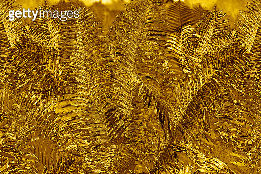 Abstract golden fern leaves background close up, fantastic gold colored ...