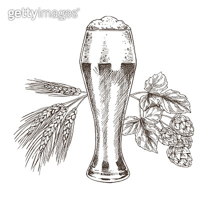 Hop and Wheat Stack and Foamy Alcohol Beer Glass (1187680401) 일러스트, 무료 ...