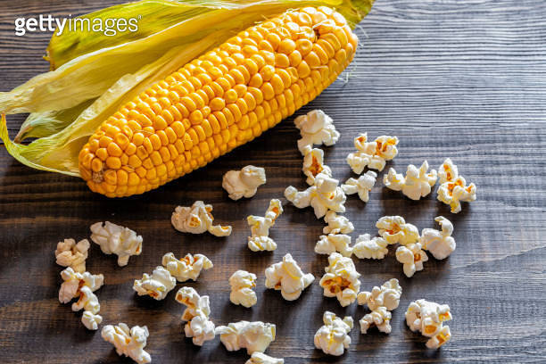 On wooden insulated floor, fresh corn, dry corn grains, popcorn grains ...