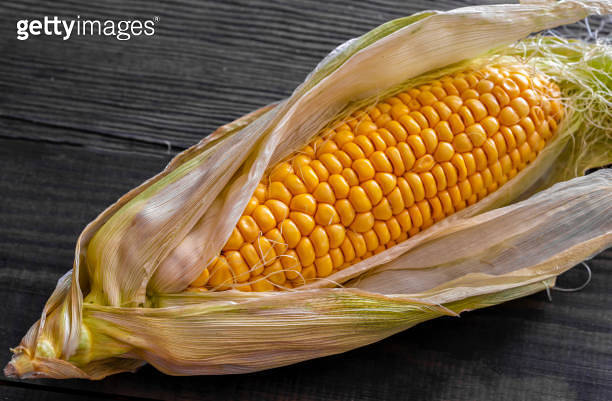 On wooden insulated floor, fresh corn, dry corn grains, popcorn grains ...