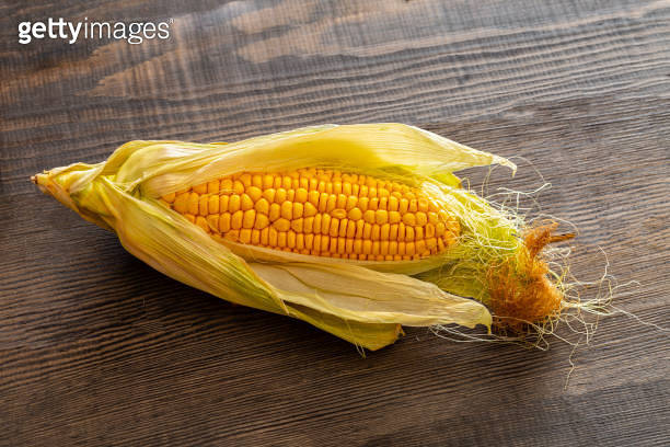 On wooden insulated floor, fresh corn, dry corn grains, popcorn grains ...
