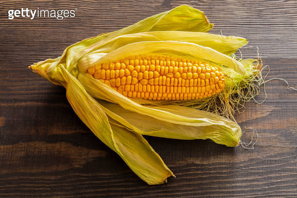 On wooden insulated floor, fresh corn, dry corn grains, popcorn grains ...