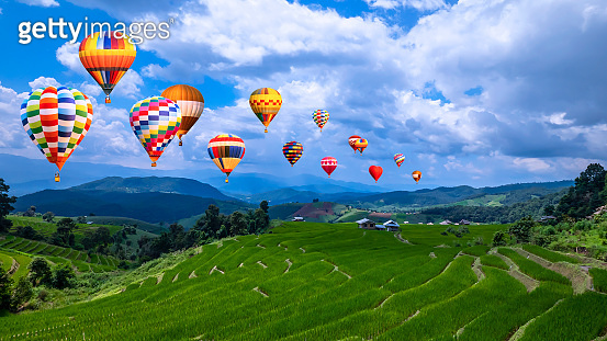 Colorful hot air balloon fly over green paddy field 3 이미지 (1132646377 ...