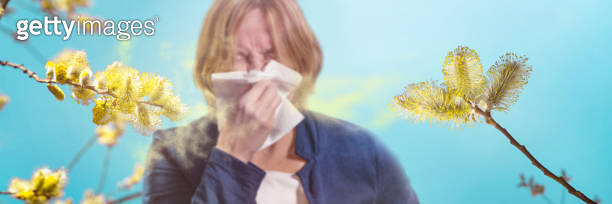 blurred sneezing woman with handkerchief, allergic reaction at the ...