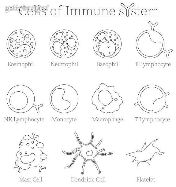 Immune cell army - different cell types of human immune system that ...