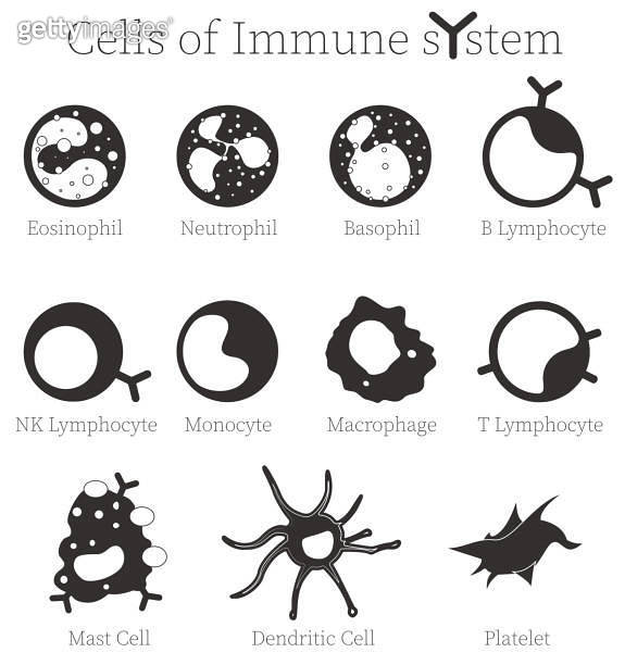 Immune cell army - different cell types of human immune system that ...