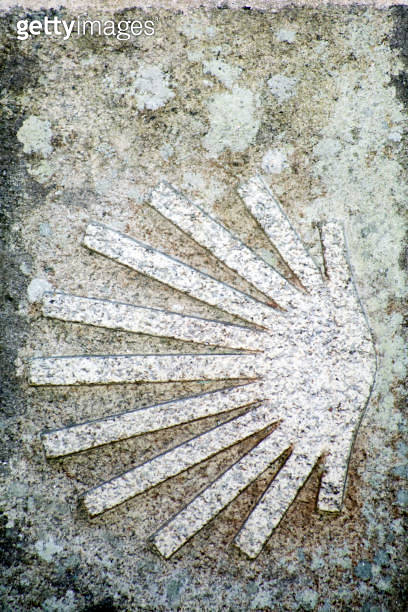 Camino de Santiago, its symbol, pilgrims scallop shell carved on stone ...