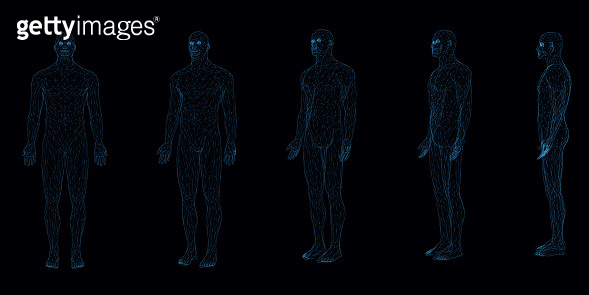 Set with wireframe of a human body turning sequentially. Front view ...