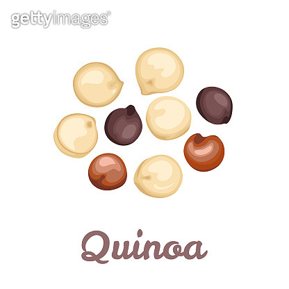 Quinoa Tricolor grains isolated on white background. Gluten free grain ...