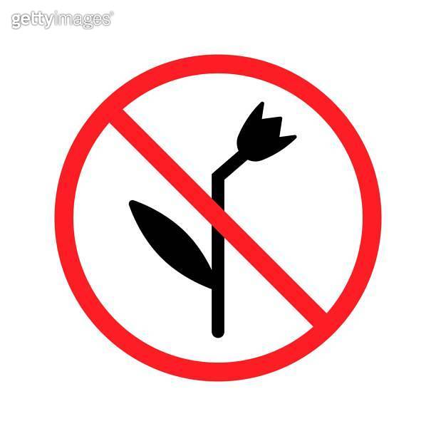 Prohibited from picking flowers, caution warn symbol for public areas ...