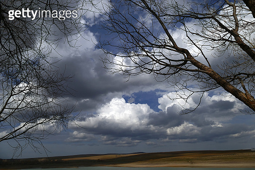 not bloomed trees and cloudy sky view, (1141060897) - 게티이미지뱅크