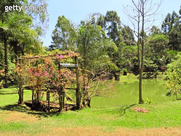 Flowered catwalk in the countryside scene. Great landscape. 이미지 ...