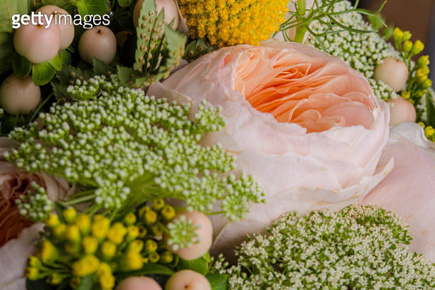 Orange pony flower on a beautiful flower bouquet isolated close up 이미지 ...