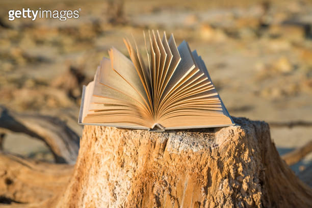 An open book on an old stumpy stump. The concept of reading books 이미지 ...