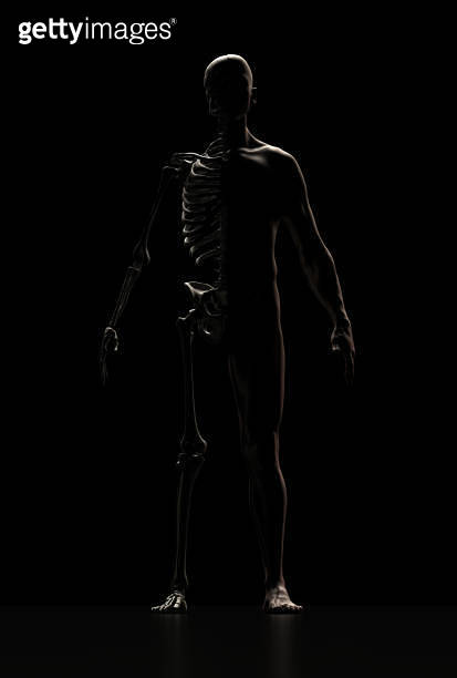 Backlight on half skeleton half skin male body 3d render 이미지 ...