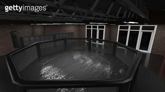 Black octagon ring ready for ultimate cage fight training 3d render 이미지 ...
