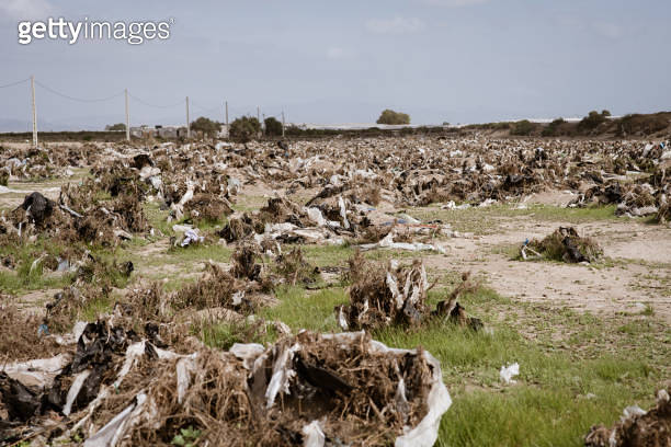 Garbage pile in nature among plants. Toxic plastic into nature ...
