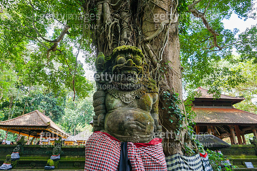 A moss covered statue of the god Barong in the Monkey Forest 이미지 ...