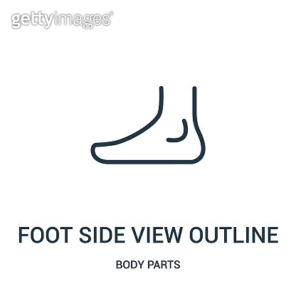 foot side view outline icon vector from body parts collection. Thin ...