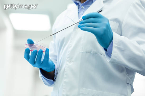 Close up of male hands that doing chemical experiment 이미지 (1169293035 ...