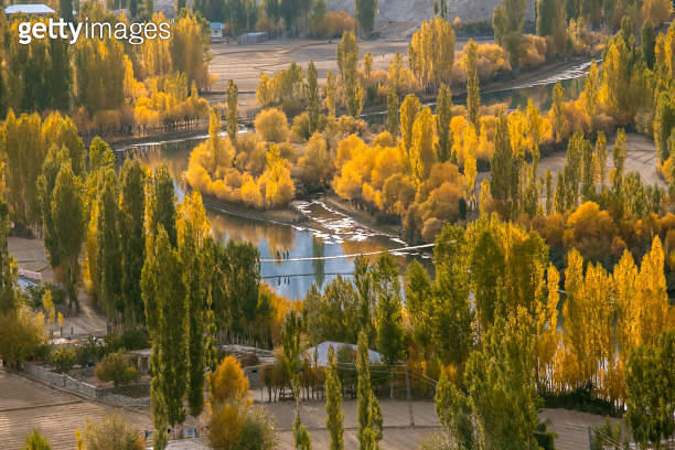 Phandar valley during autumn season in the northern area of the ...