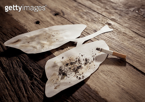Conceptual image of cigarette burning on paper lungs isolated on rustic ...