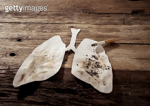 Conceptual image of cigarette burning on paper lungs isolated on rustic ...