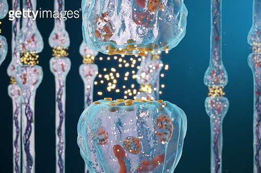 Synaptic transmission, nervous system receptors. Concept consciousness ...