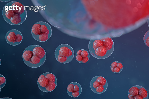 3D illustration egg cells embryo. Embryo cells with red nucleuses in ...