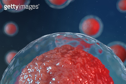 3D illustration egg cells embryo. Embryo cells with red nucleus in ...