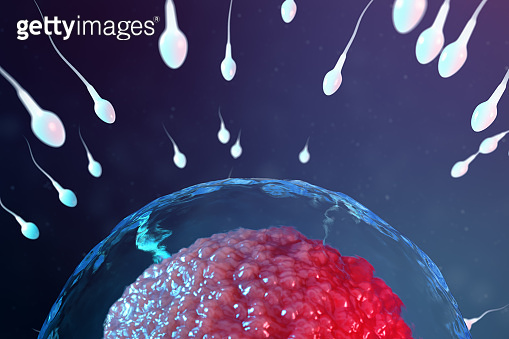 3D illustration sperm and egg cell, ovum. Sperm approaching egg cell ...