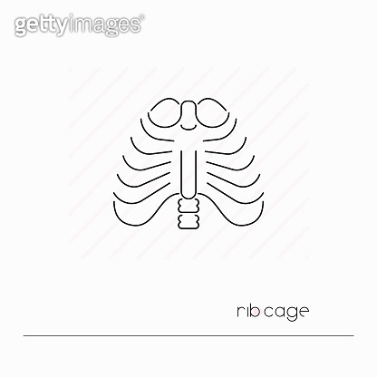 Rib cage icon isolated. Single thin line symbol of ribs. Human body ...