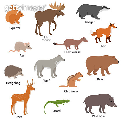Eurasian animals set with titles. Wildlife of Eurasia. Squirrel ...