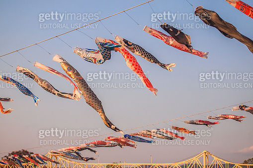 Tenshochi Park,Kitakami,Iwate,Tohoku,Japan on April 26,2018:Carp ...