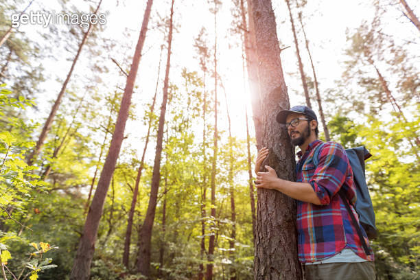 Man hugging tree in forest (1175254233) - 게티이미지뱅크