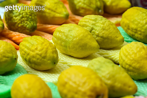 Etrog is a ritual citrus fruit. Sukkot 이미지 (1175916012) - 게티이미지뱅크