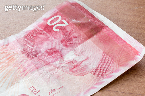 Portrait of Rachel Bluwstein on twenty Israeli new shekel bill. 이미지 ...