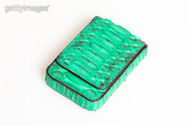Business card holder turquoise Python leather isolated on white ...