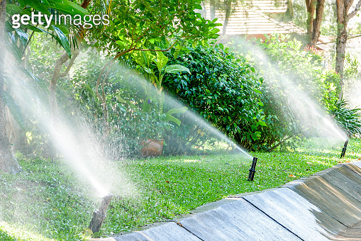 Springer water system in the garden (1097393248) - 게티이미지뱅크