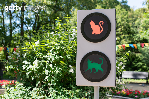 Traffic light with cats. Funny traffic light concept for children and ...