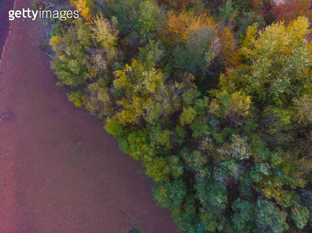 autumn park with colored trees shot from above, top view 이미지 ...