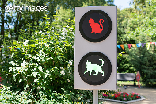 Traffic light with cats. Funny traffic light concept for children and ...