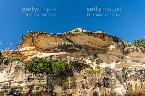 Shell like rock formation overlooking Bronte Beach, Sydney Australia ...